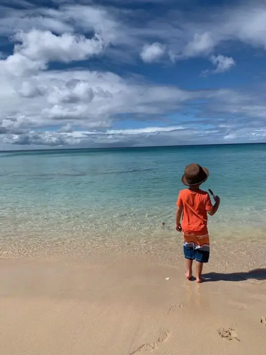 Barbados With Kids: The Ultimate Guide