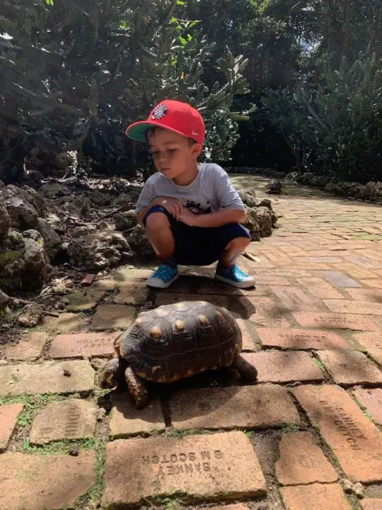 Barbados With Kids: The Ultimate Guide